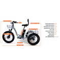 Anywhere Fat Tire Electric Trike - Rugged Edition – AnyWhere Bikes